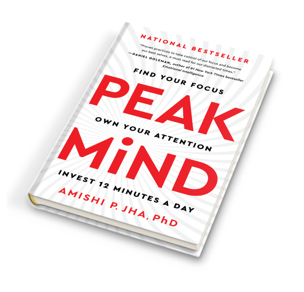 Home Civ - Peak Mind Interactive